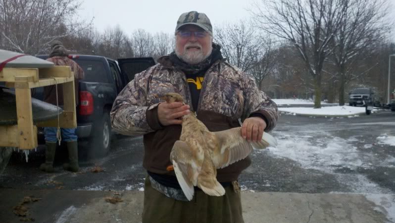 I'm not worthy...my Blond Mallard Finale! | Duck Hunting Forum