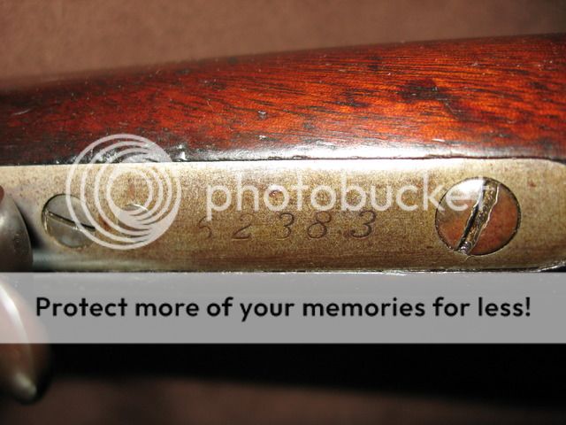 22 Extra Long | Rimfire Central Firearm Forum