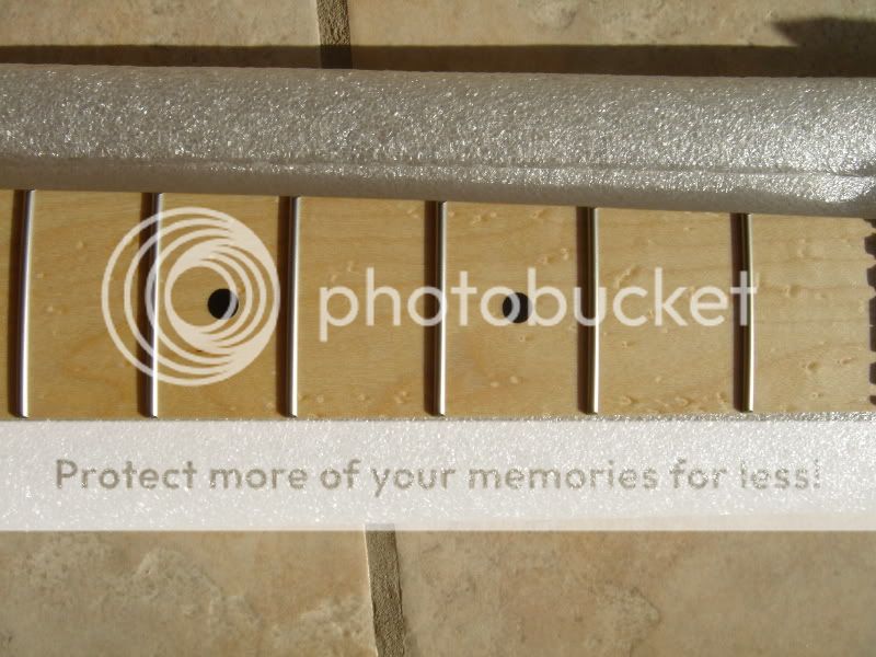 Alpine white strat | Unofficial Warmoth Forum