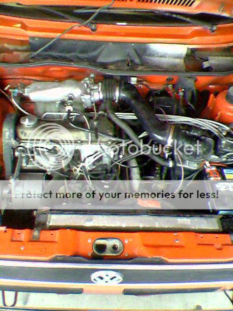 1981 VW Rabbit Convertible | VW Vortex - Volkswagen Forum