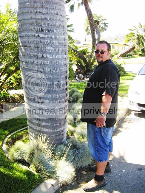 Southern Cal Palm Society Meeting - DISCUSSING PALM TREES WORLDWIDE ...