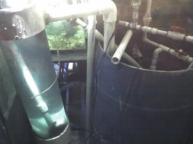 Anbody else try an FBF filter (fluidized bed sand filter) for ...