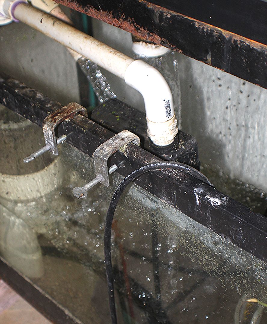 DIY Sump | MonsterFishKeepers.com