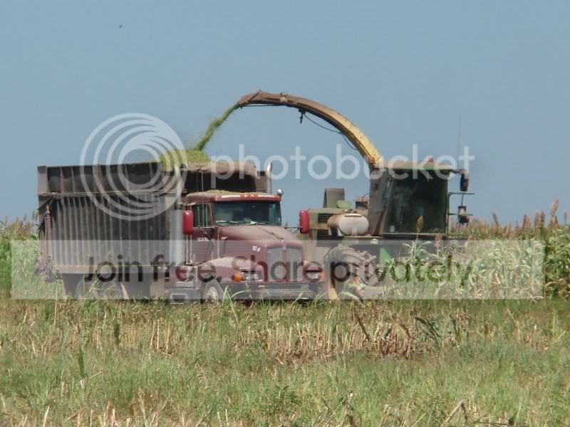 West Texas Silage Harvest 07 PICS | The Combine Forum
